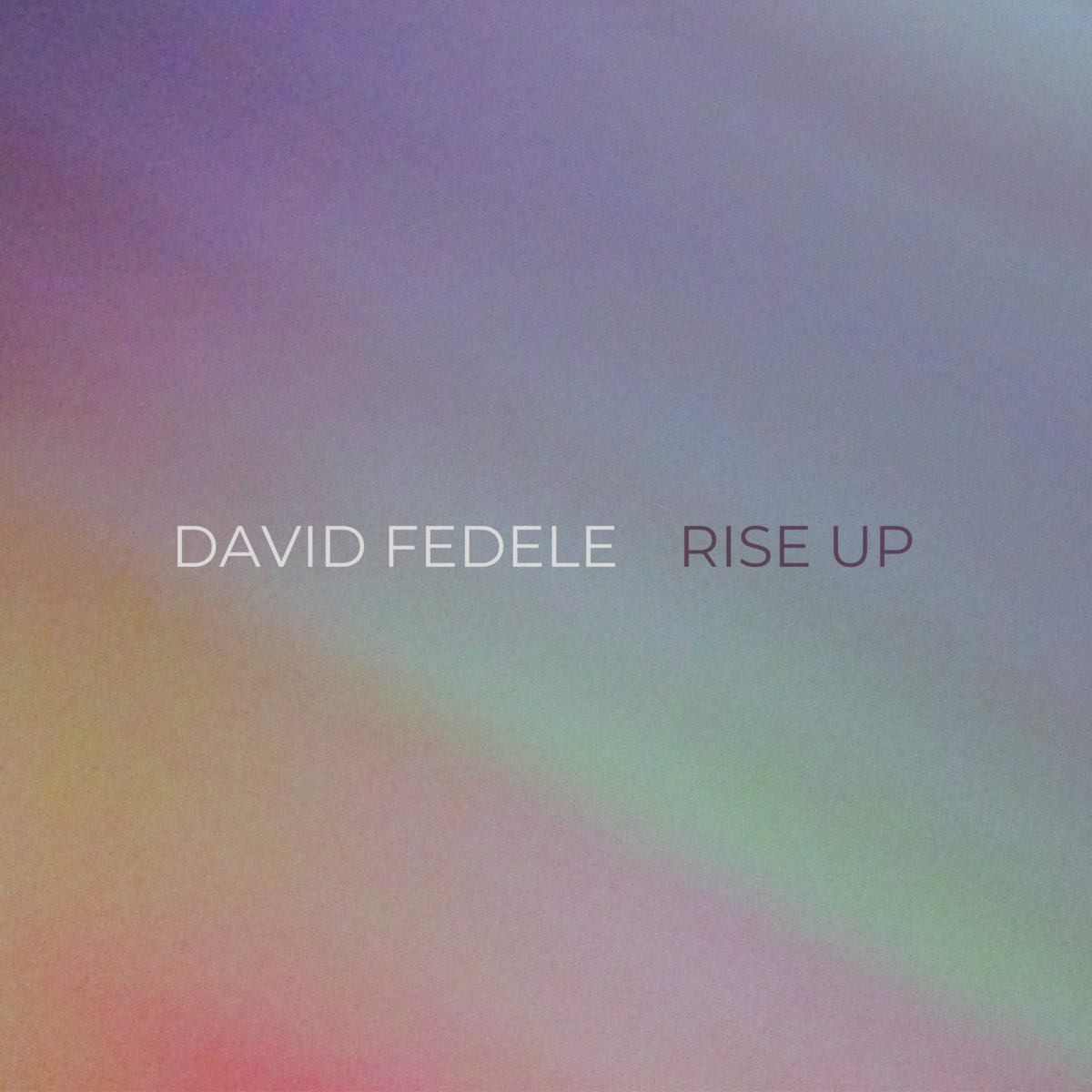 RISE UP | David Fedele