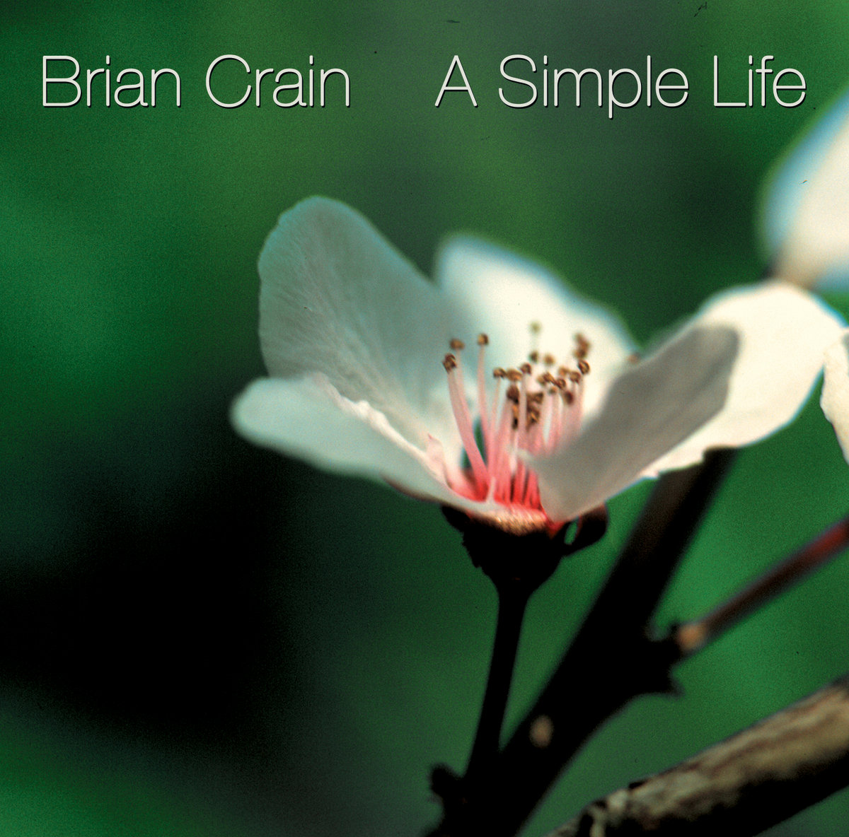 A Simple Life | Brian Crain