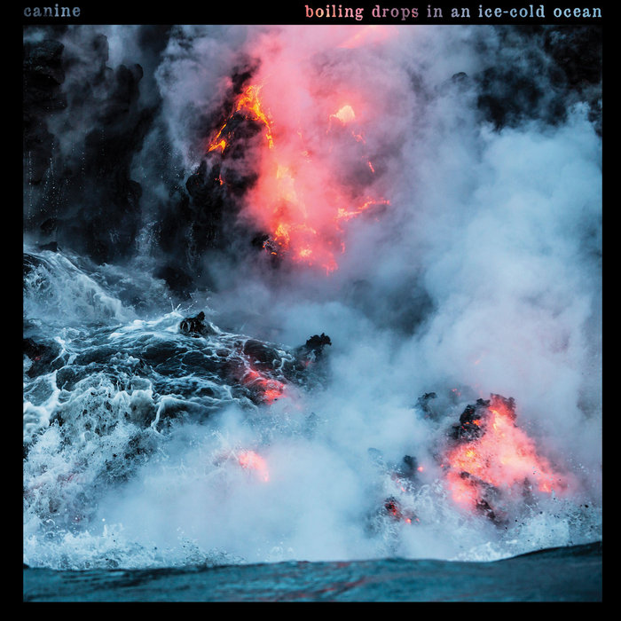 Canine - Boiling drops in an ice-cold ocean | Lose & the Caves