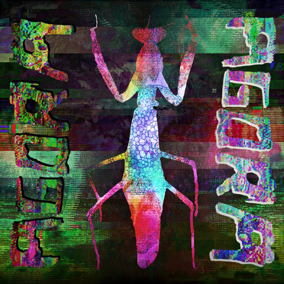 Rainbow Mantis | Thomas Agora