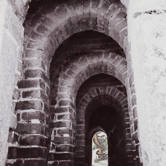 A Snake In Your House | Nahash | SVBKVLT