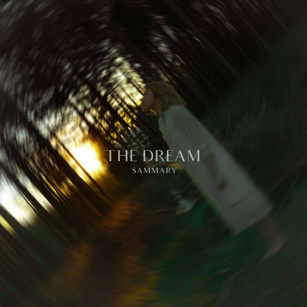 The Dream | Sammary