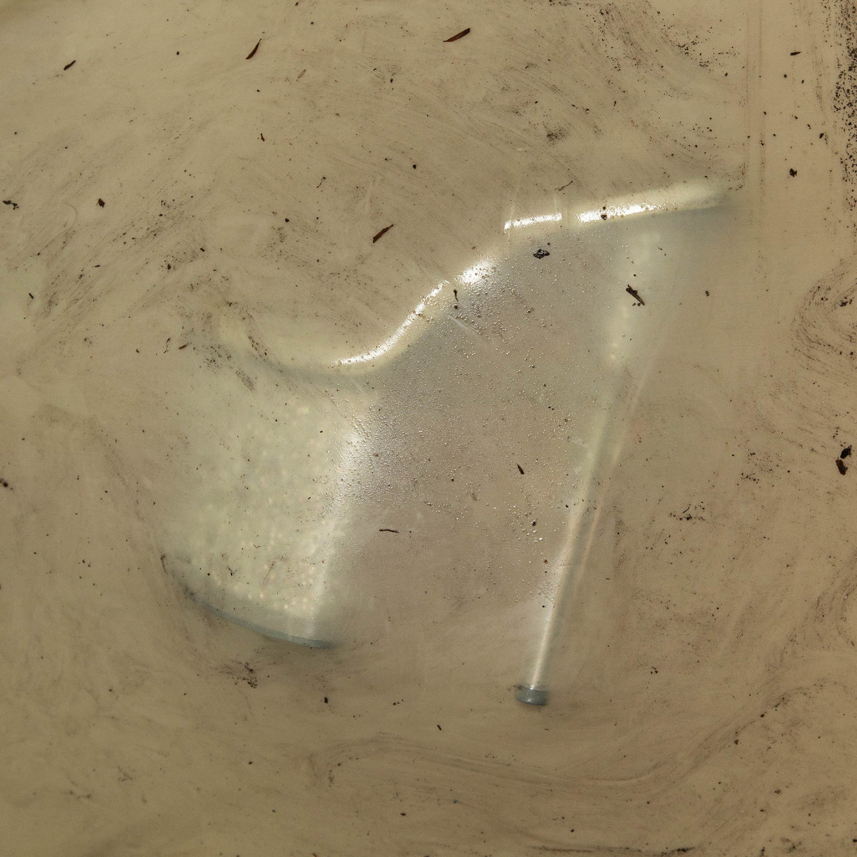 Cluster B Intro | SPFDJ | Intrepid Skin