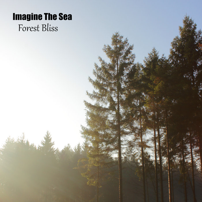 Forest Bliss | Imagine The Sea