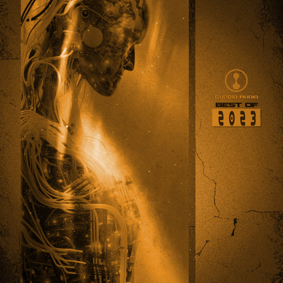 Best of Gynoid 2023 | Various Artists | Gynoid Audio