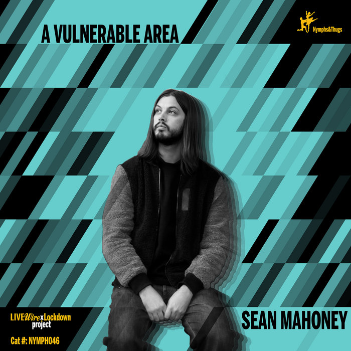 A Vulnerable Area | Sean Mahoney | Nymphs & Thugs Recording Co.