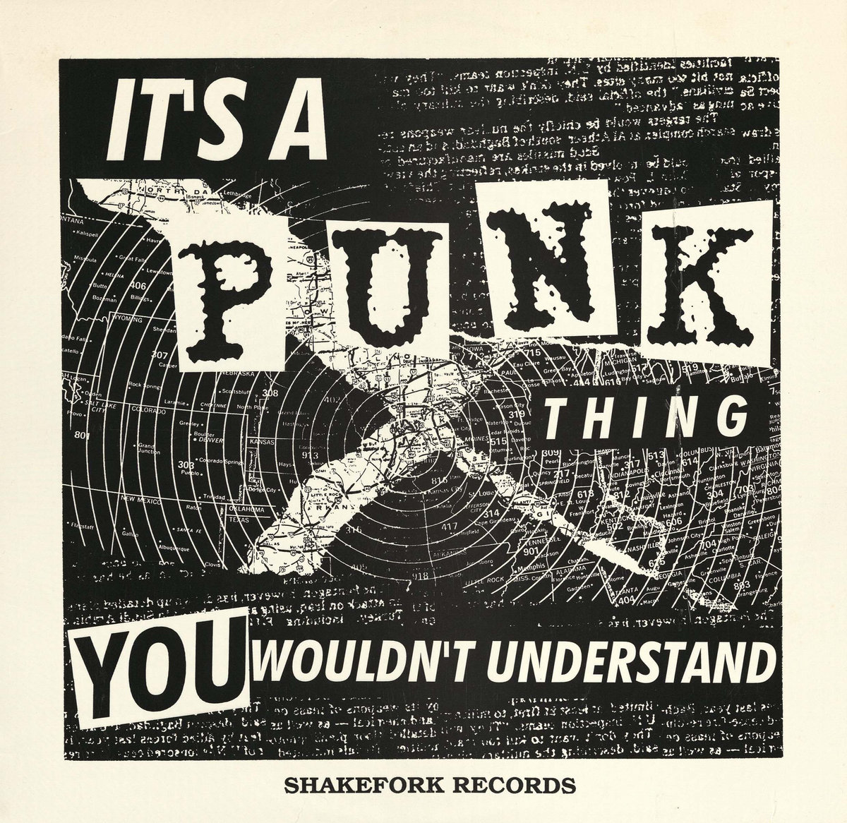 It's A Punk Thing You Wouldn't Understand | Various Artists | DuPage ...