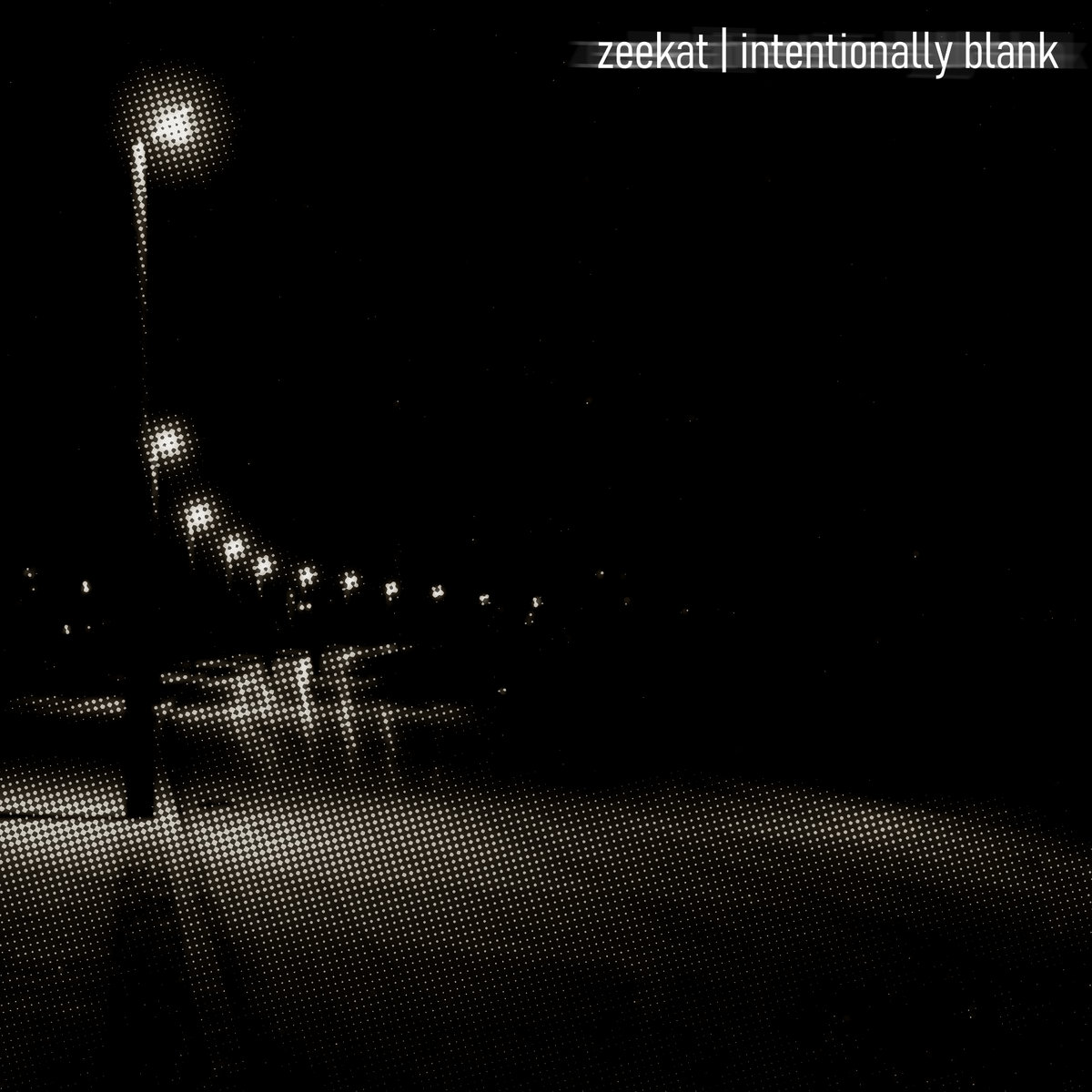 Intentionally Blank | ZeeKat