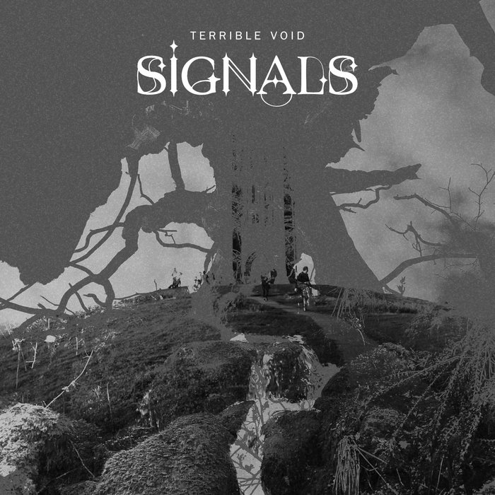 Signals | Terrible Void