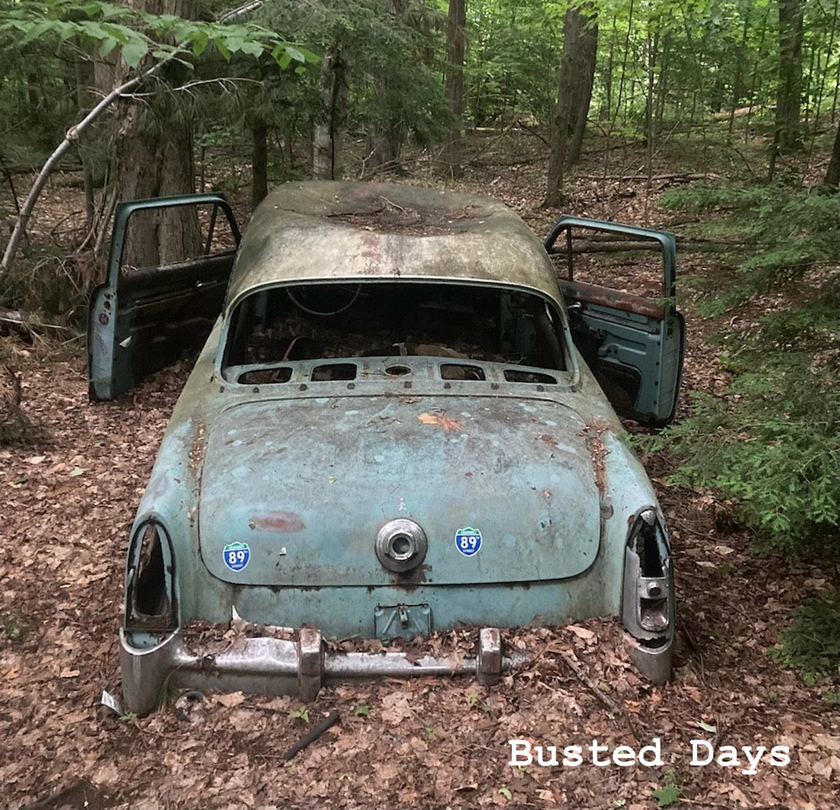 Busted Days | Forrest Gardner