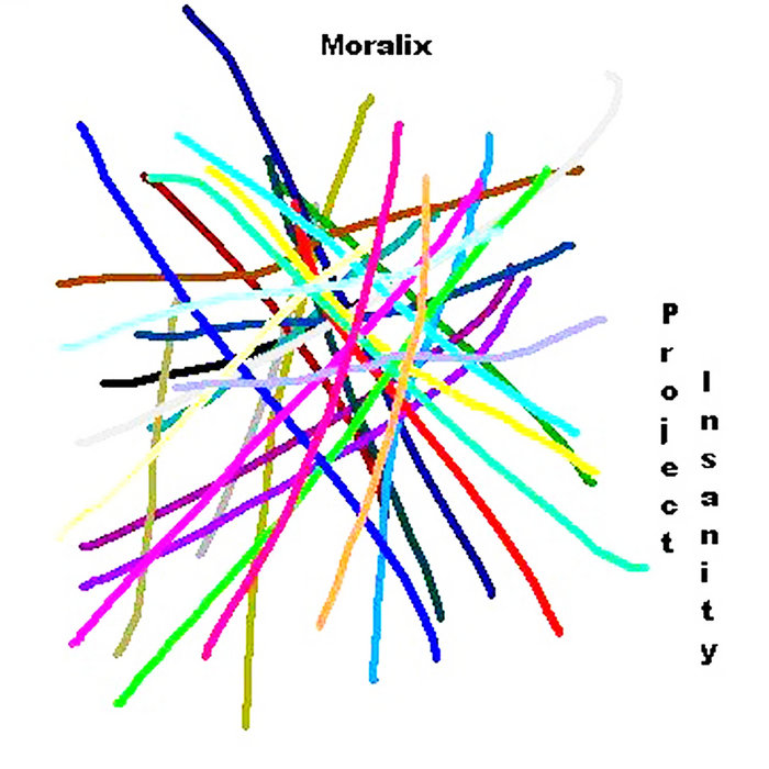 Project Insanity | Moralix
