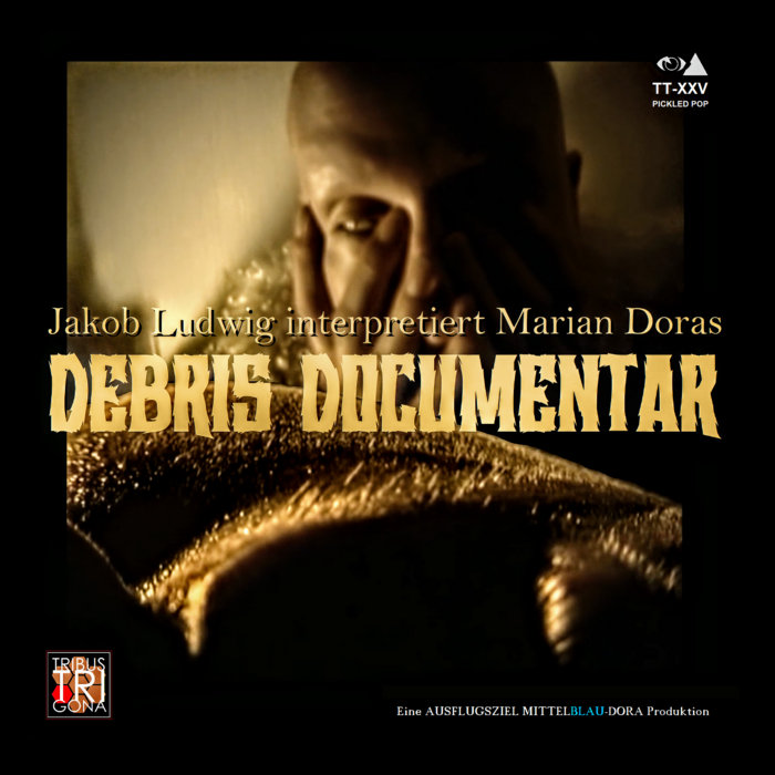 Jakob Ludwig interpretiert Marian Doras "Debris documentar" | Jakob Ludwig | Tribus Trigona