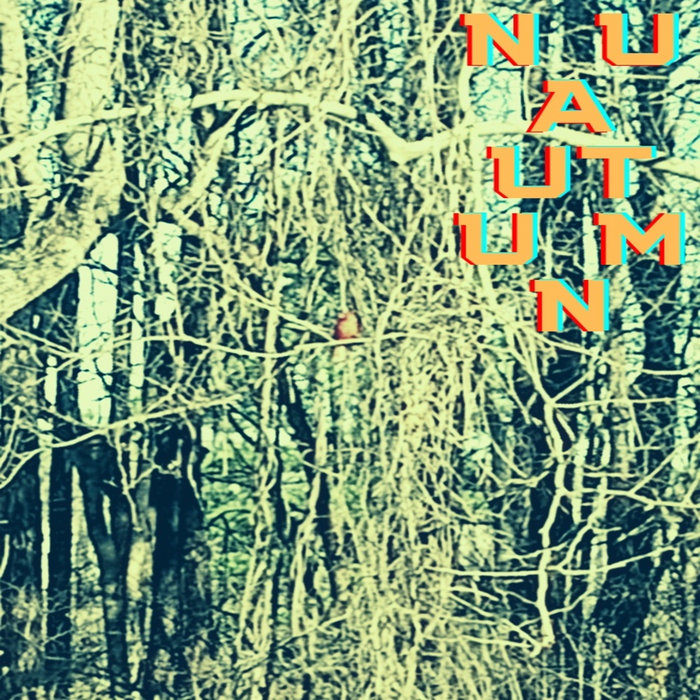 nu Autumn ft Saoirsegrainne | Pyroglyphics