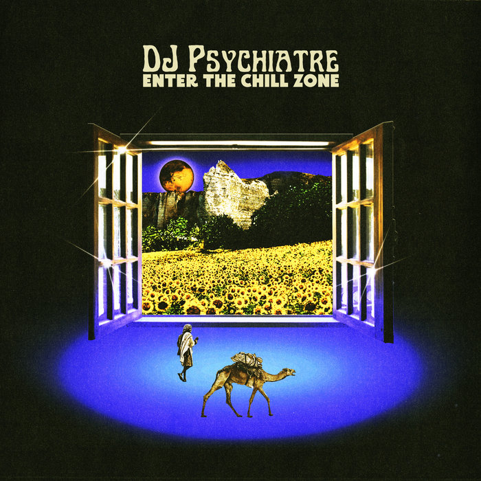 Enter The Chill Zone | DJ PSYCHIATRE