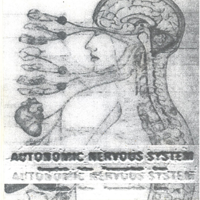 KIPPU - AUTONOMIC NERVOUS SYSTEM | KIPPU