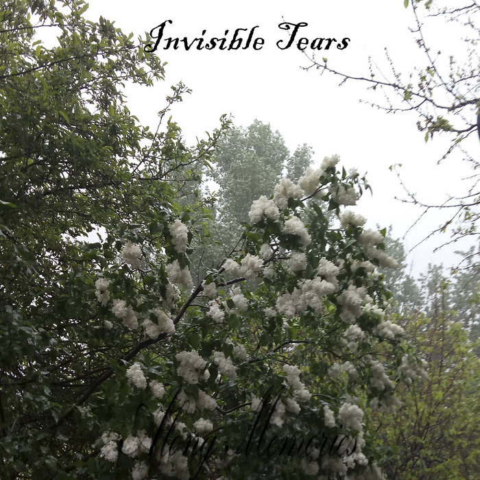 Invisible Tears | Along Memories
