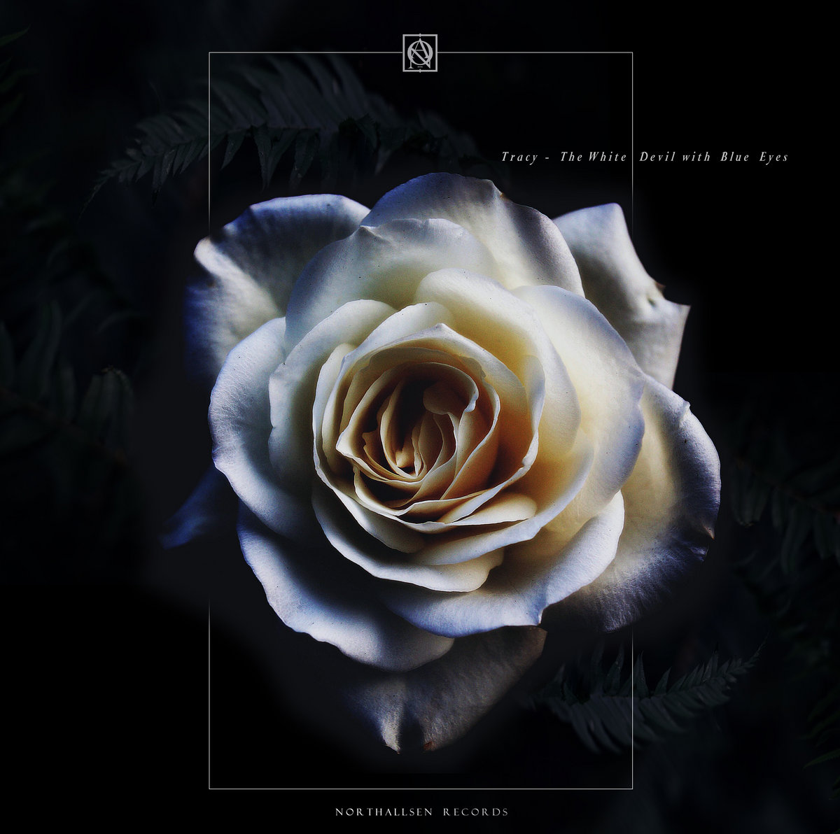 The White Devil with Blue Eyes | Tracy | Northallsen Records