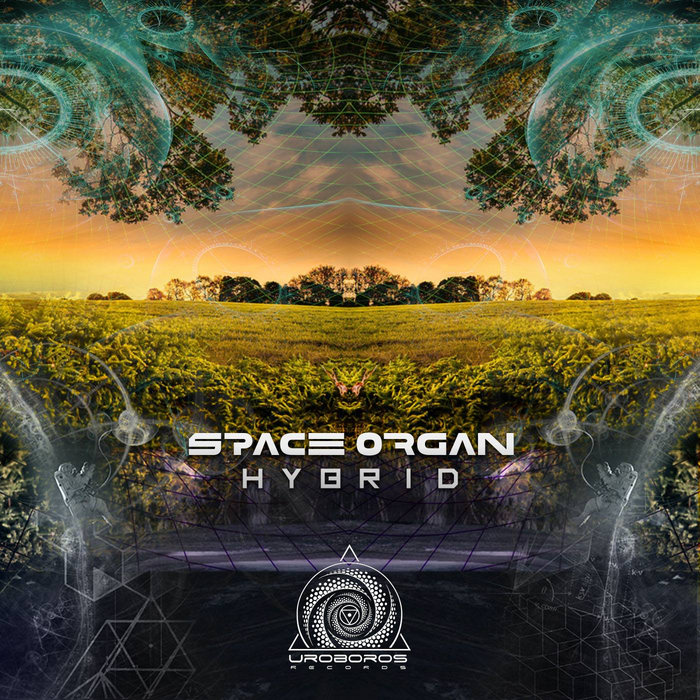 Space Organ-Hybrid [EP] 16 bit | Space Organ / Ycaxe