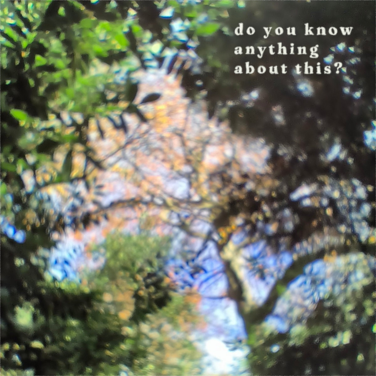 do you know anything about this? | Sharnjit