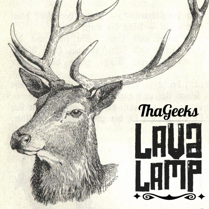 Lava Lamp | Tha Geeks