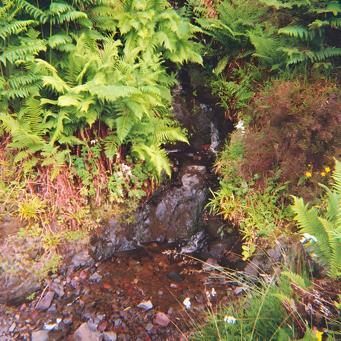 Aurora | Ray Marcher