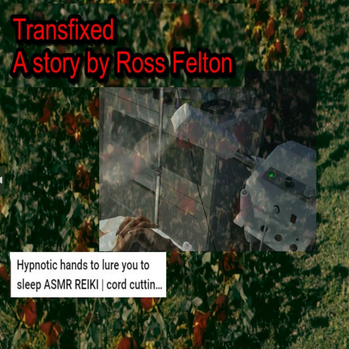 Transfixed | Ross Felton Boss of Noise