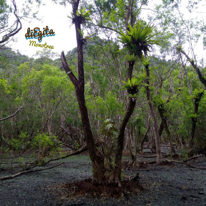 Monotree | diEgita