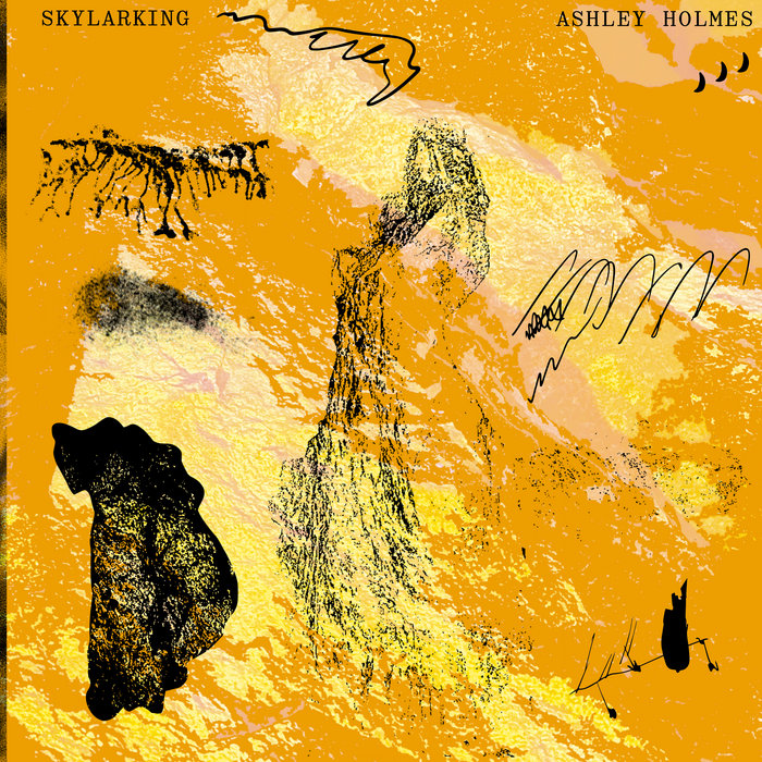 Skylarking | Ashley Holmes