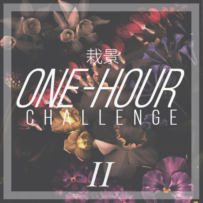 One-Hour Challenge II | saikei collective