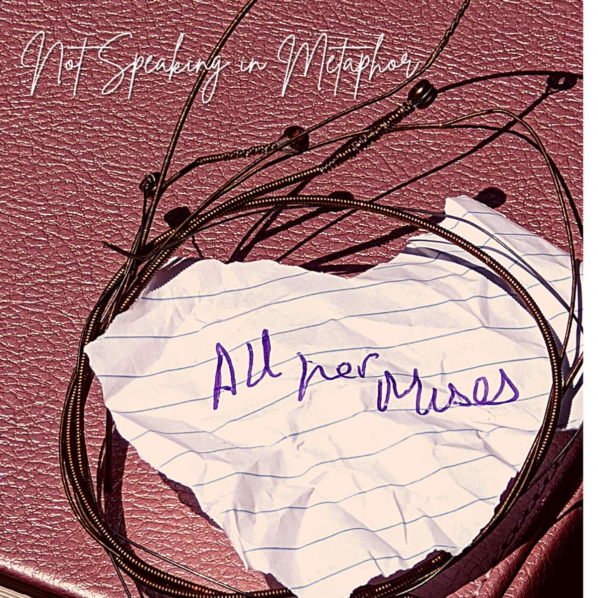 Not Speaking in Metaphor | Natalie E. Illum and Grey Jacks | All Her Muses