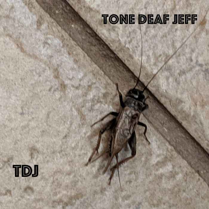 TDJ | Tone Deaf Jeff