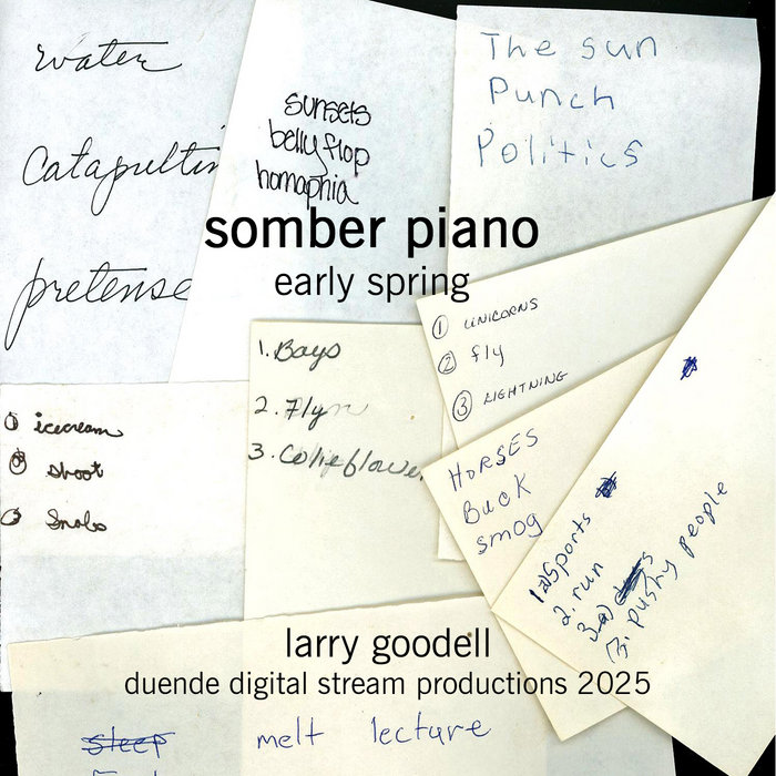 Somber Piano - Early Spring 2025 | Larry Goodell