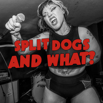 Music | SPLIT DOGS