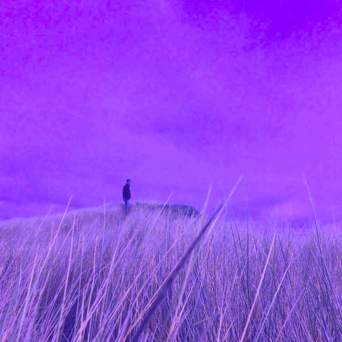 Violet | Bernard Falaise