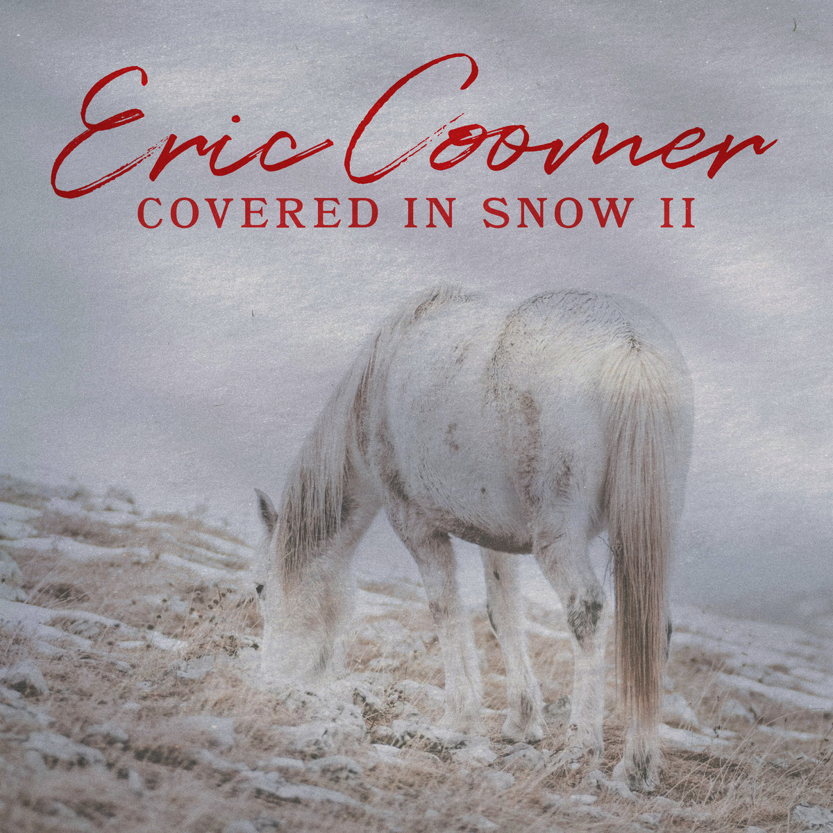 Covered in Snow II | Eric Coomer