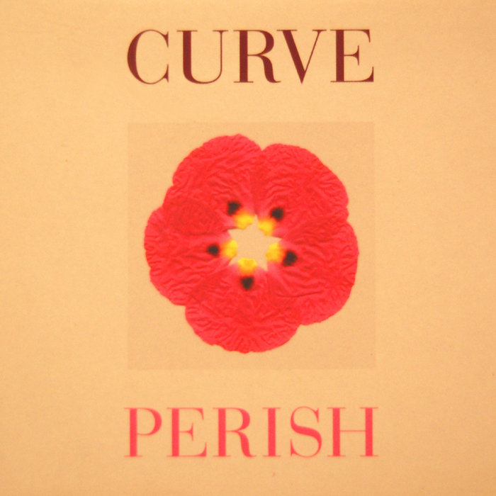 Want More Need Less | Curve