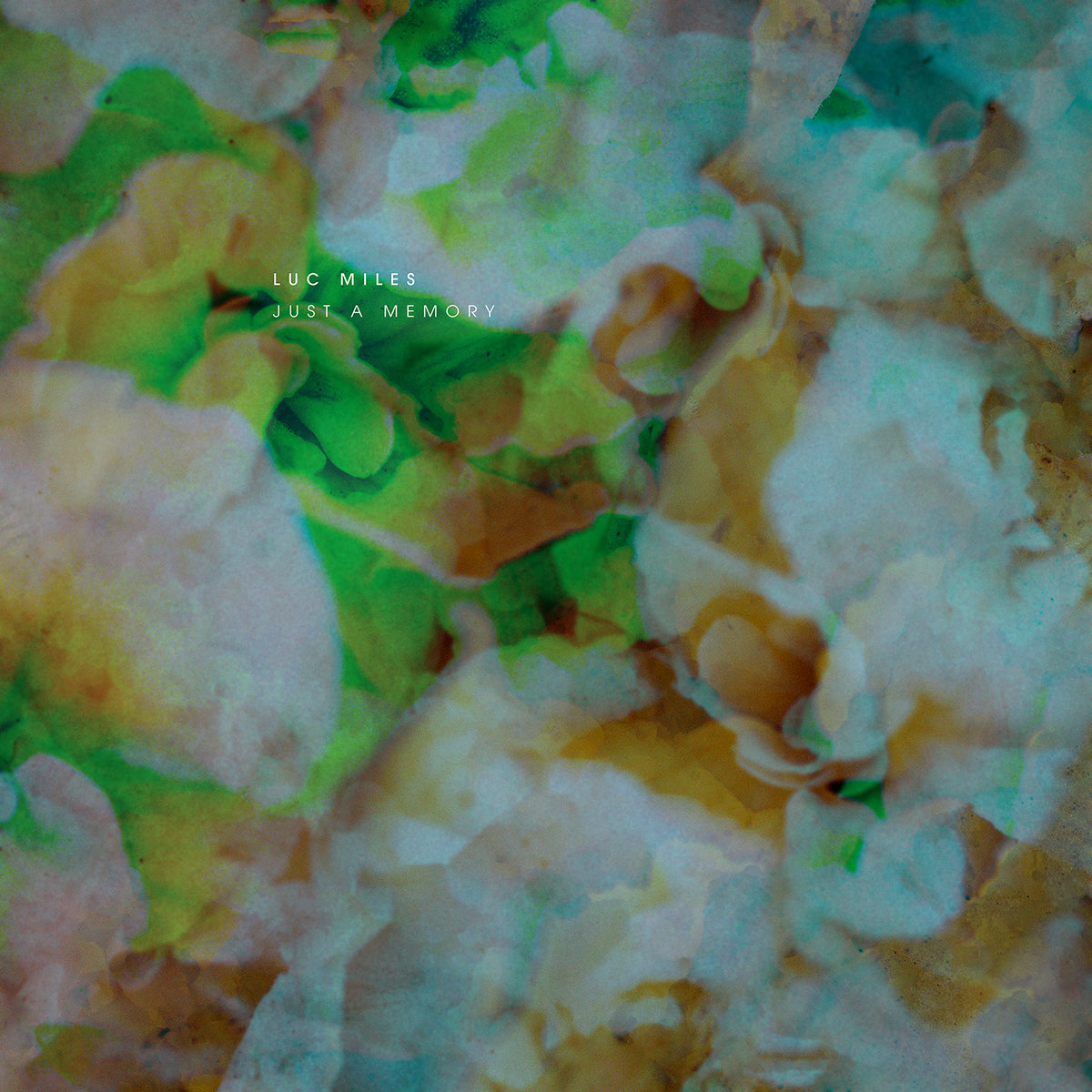 Just A Memory | Luc Miles | Cadenza