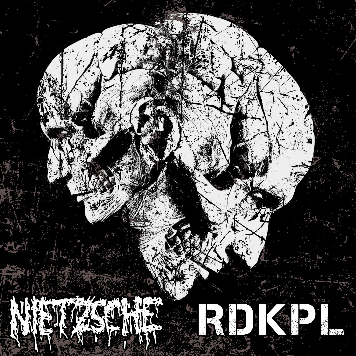 NIETZSCHE / RDKPL | NIETZSCHE / RDKPL | RDKPL