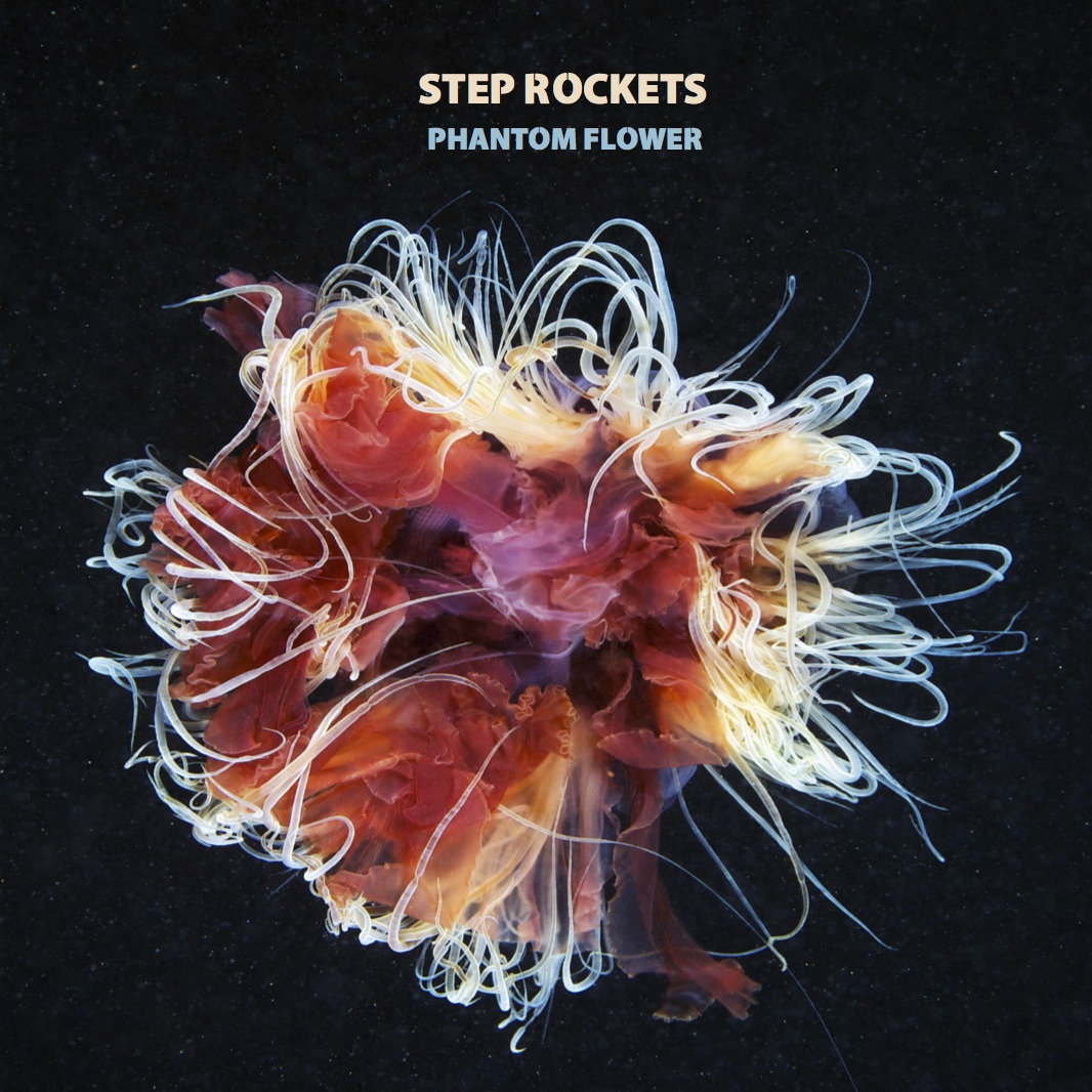 Phantom Flower | Step Rockets