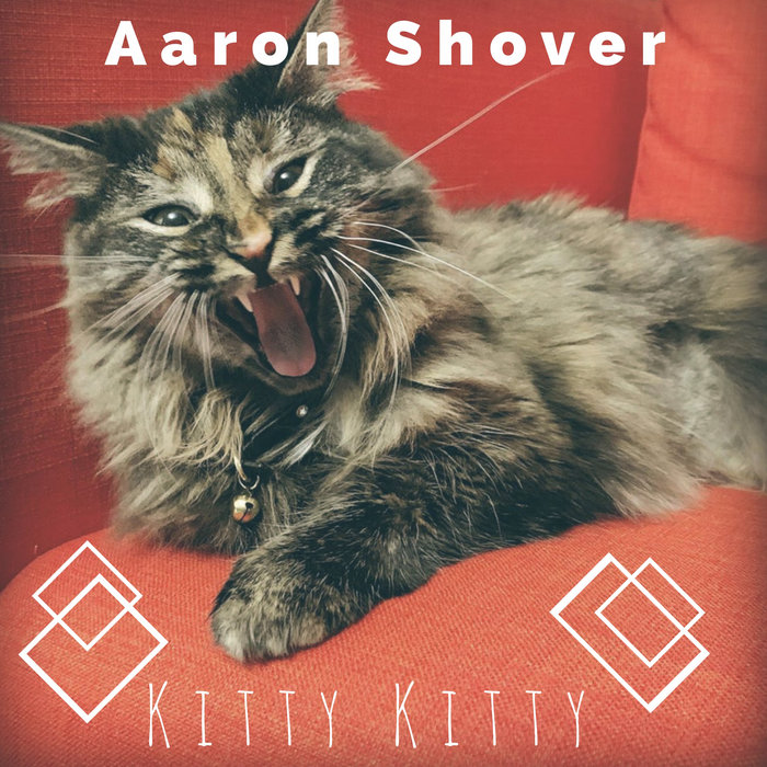 Kitty Kitty | Aaron Shover