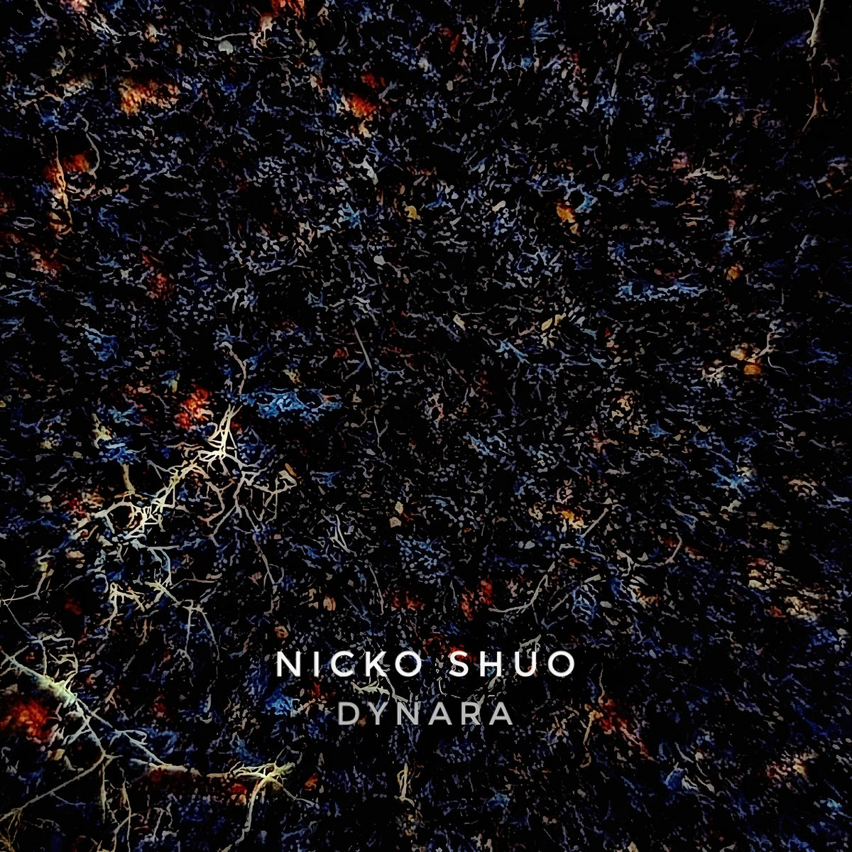 Dynara EP | Nicko Shuo | Rk District