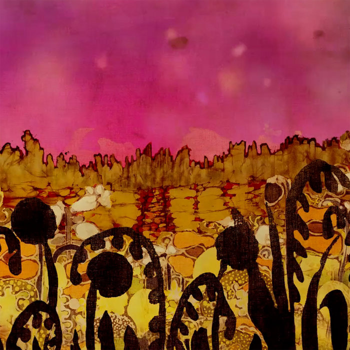 Dawn Song at Night | Layla Tutt