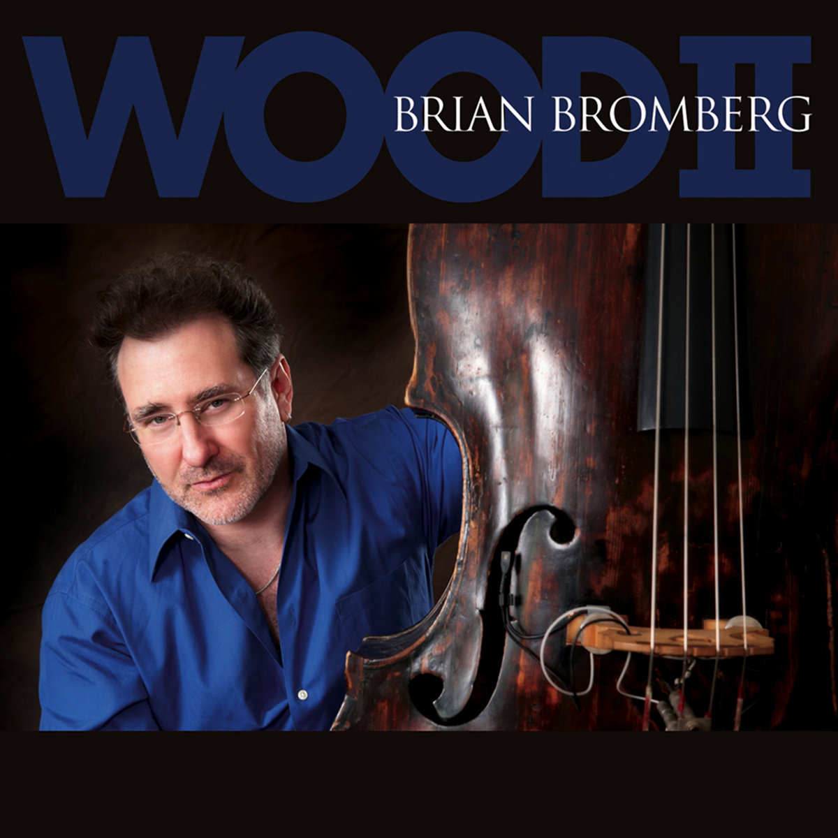 Wood II | Brian Bromberg