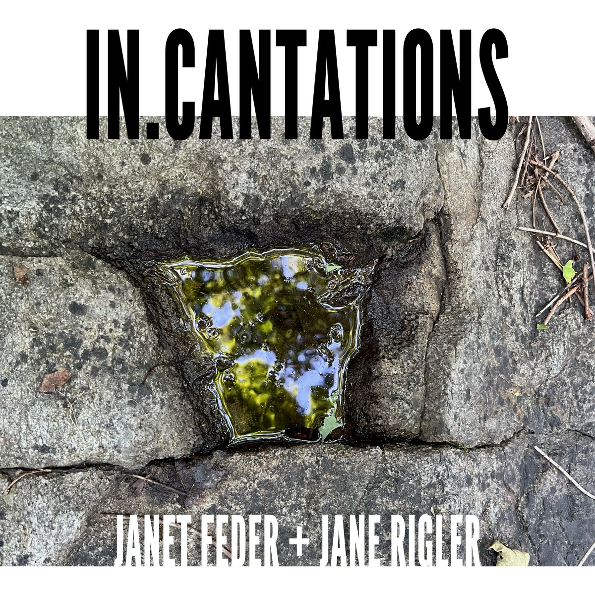 in.cantations | Janet Feder + Jane Rigler | Janet Feder