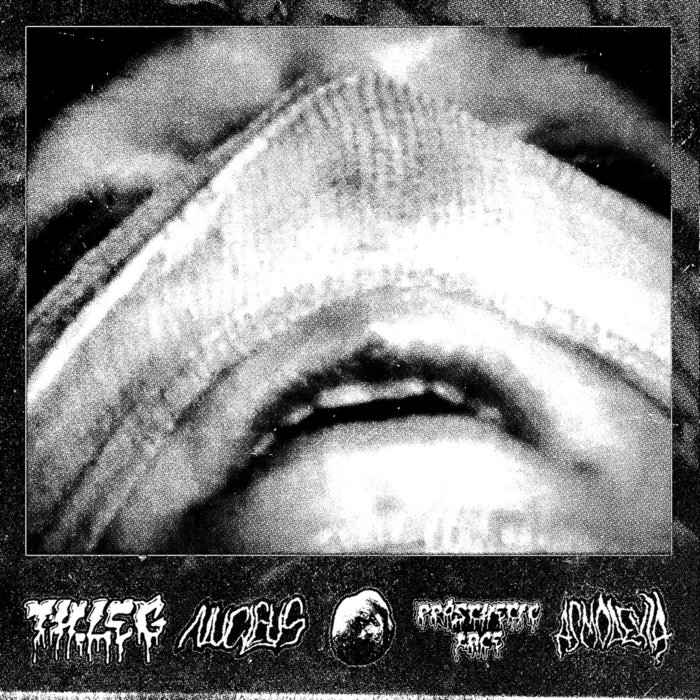 5 WAY SPLIT [2026] | TH.LEG / NUCLEUS / FESTERING FUNGUS INFECTION ...