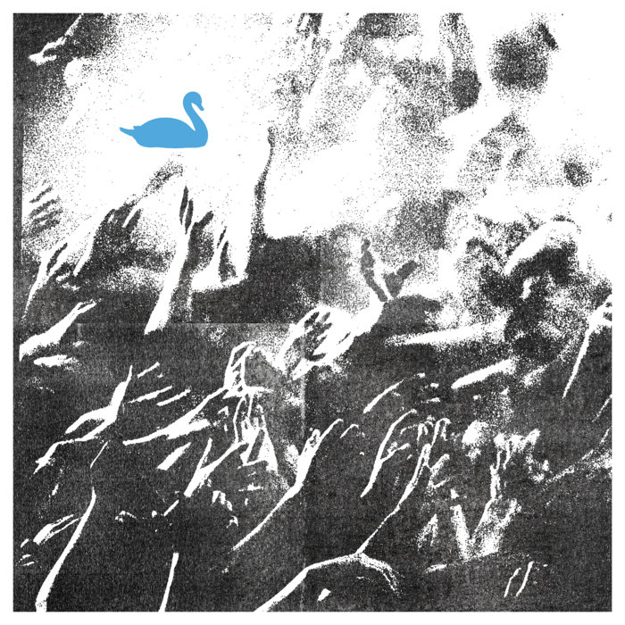 See What I Mean | The Red Pears