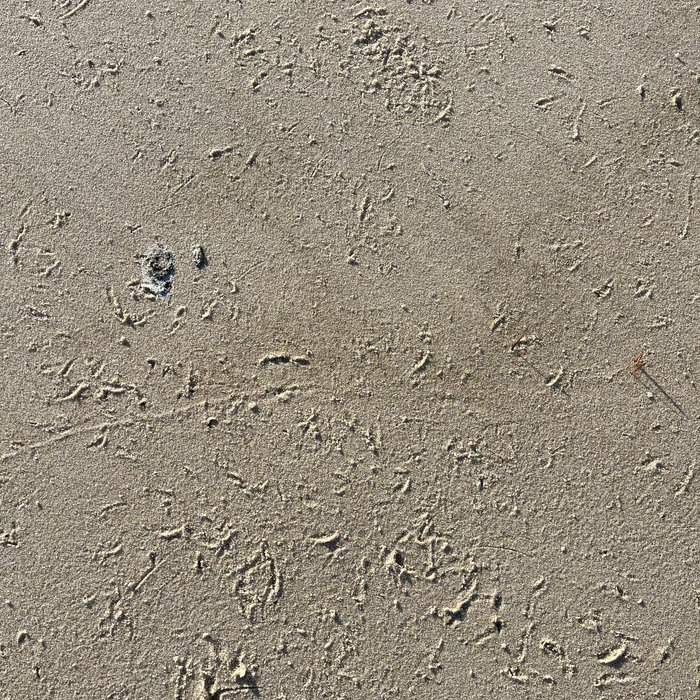 Water Sync | Isolation Sundaze