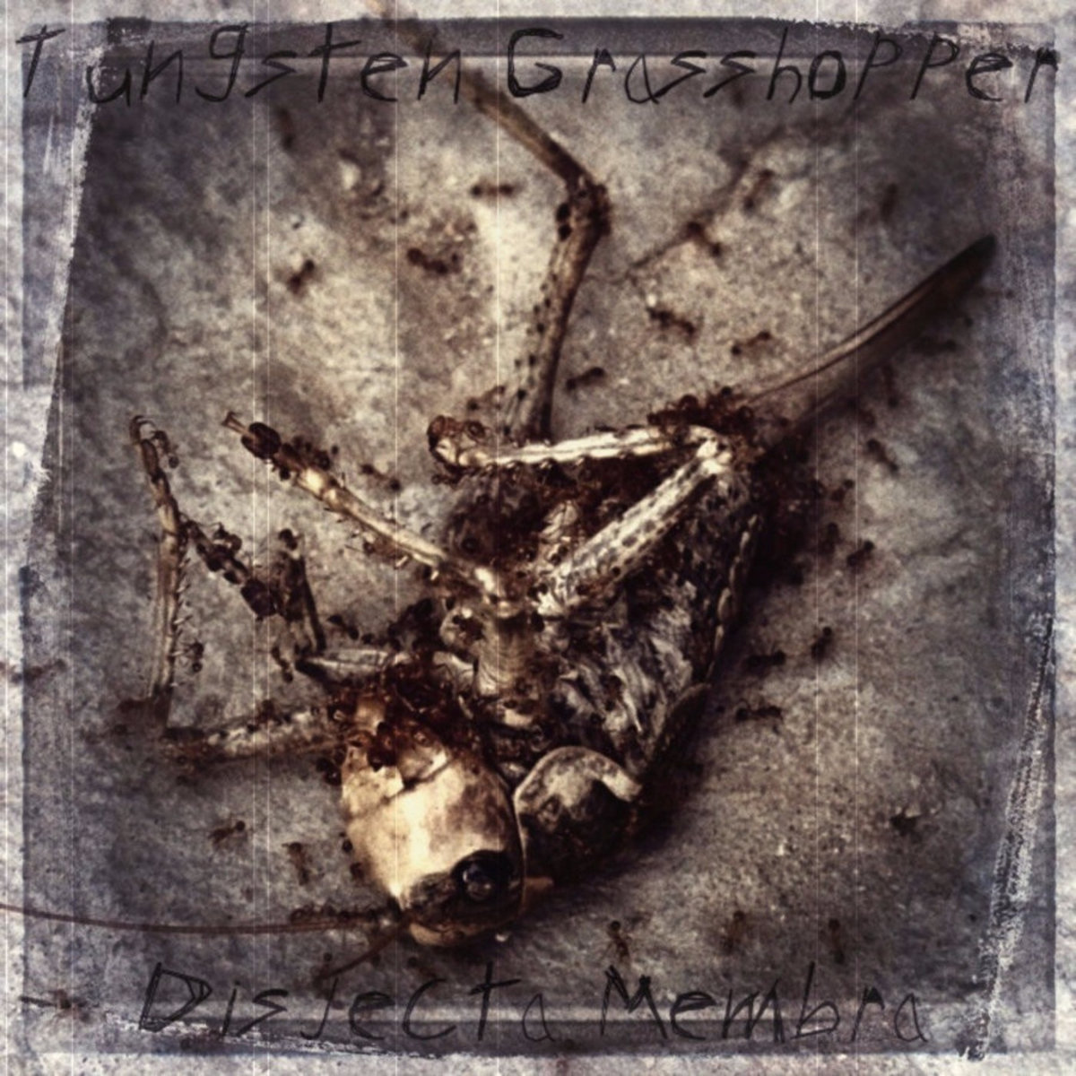 Disjecta Membra | Tungsten Grasshopper