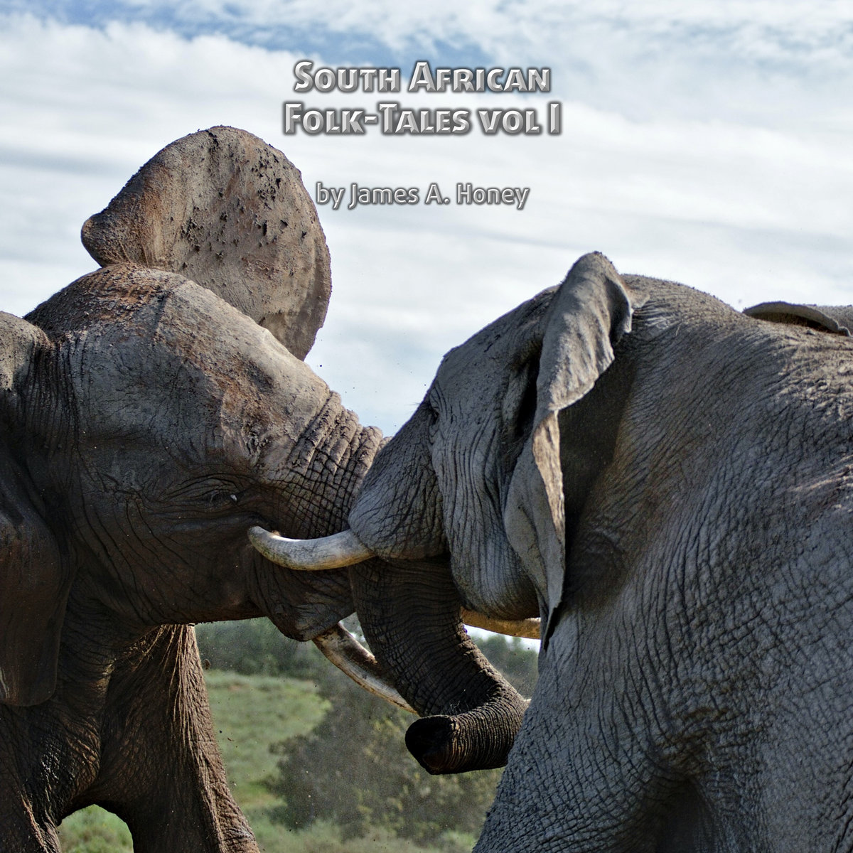 South African Folk Tales vol. 1 | James A Honey; Chirag Patel | Charles ...