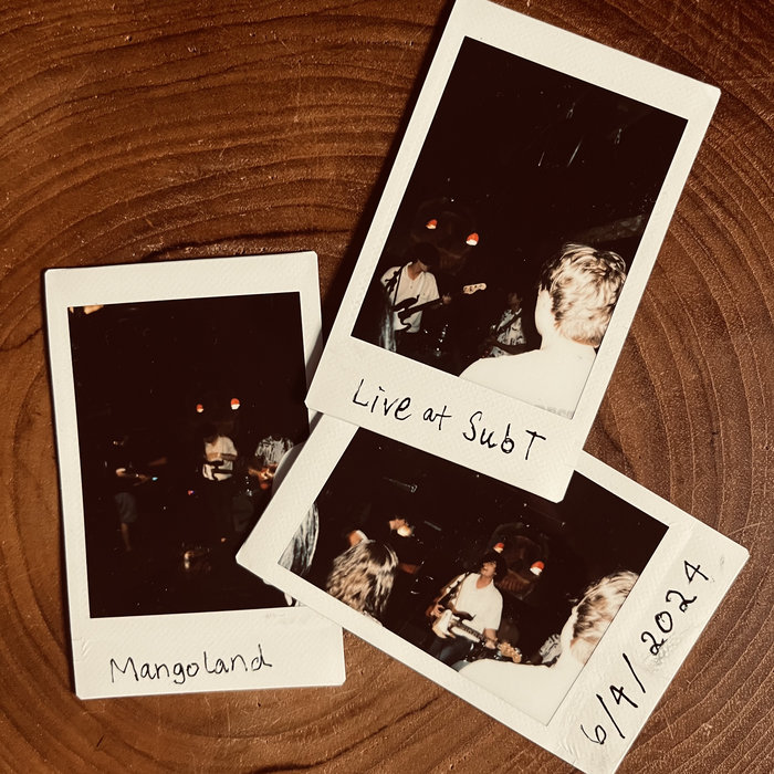 Live, Downstairs at Subterranean, Chicago Il, 6/4/2024 | Mangoland